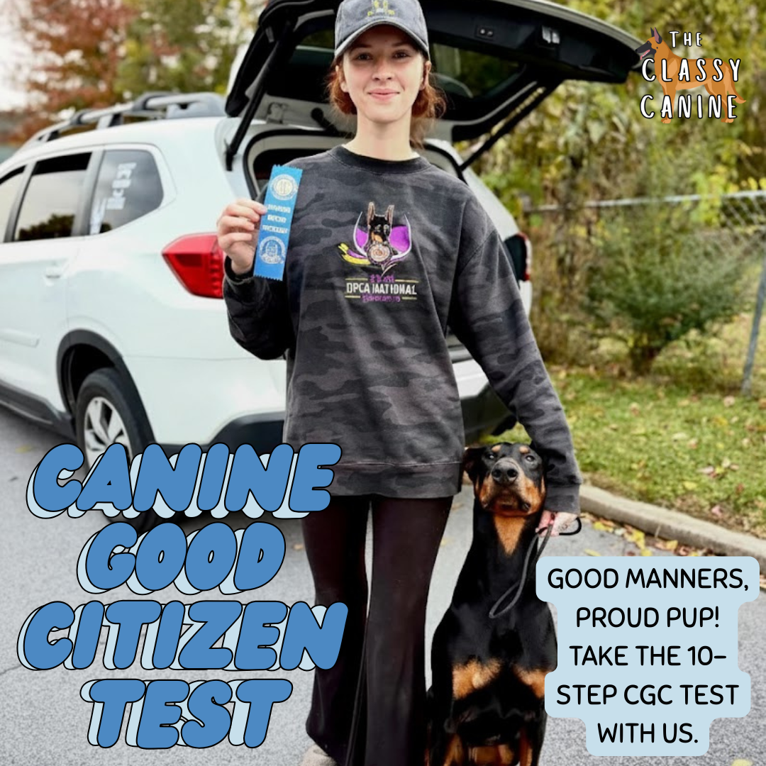 Canine Good Citizen Test – The Classy Canine