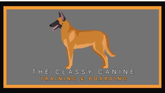 The Classy Canine Dog Training