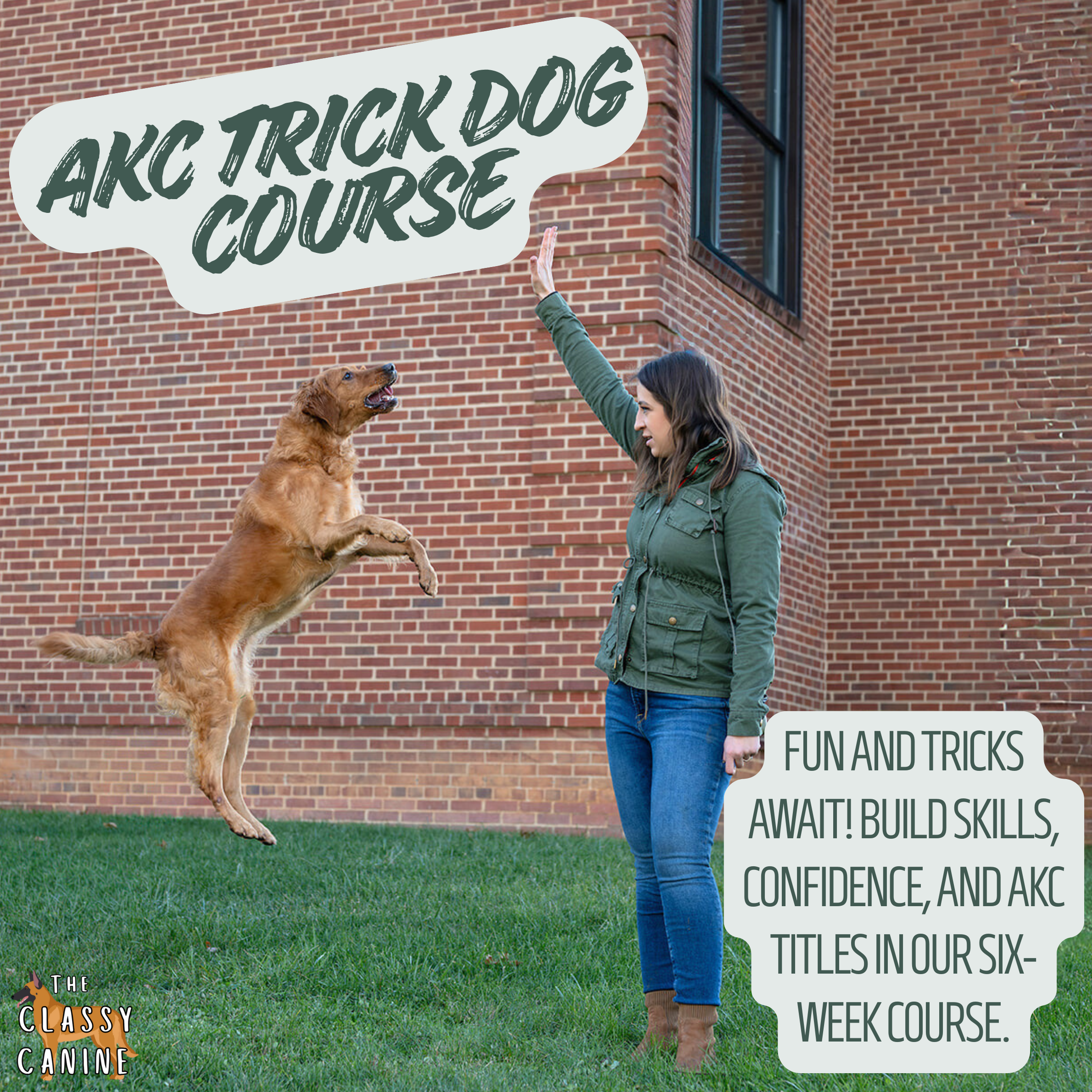 AKC Trick Dog Course – The Classy Canine