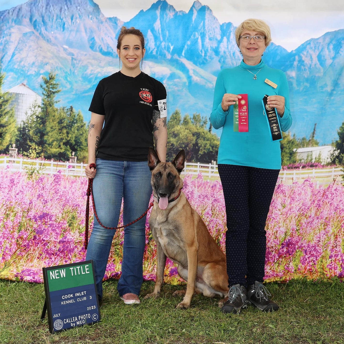 The Classy Canine Dog Training